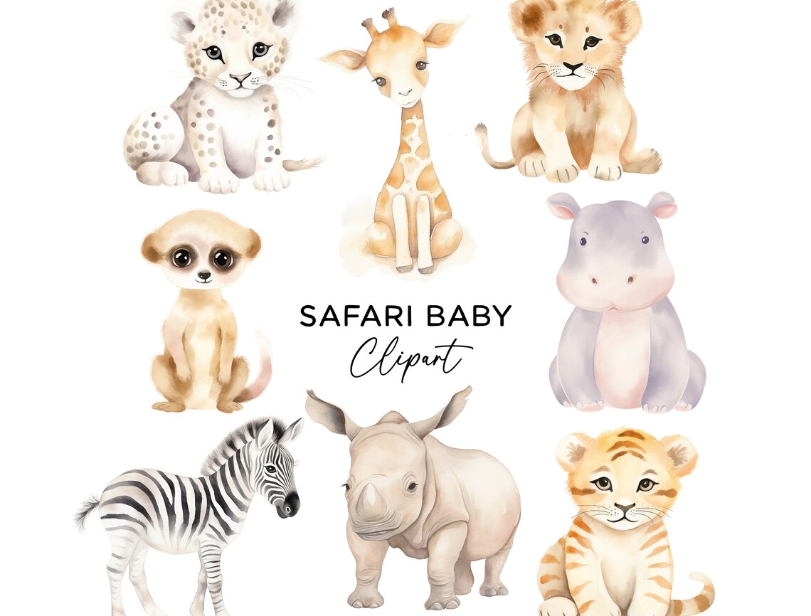 Baby Animals Clipart Bundle - Safari Jungle Zoo Lion Watercolor PNG for ...
