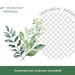 Leaf Bouquet Clipart Watercolor Greenery Painted Leaves PNG Graphics ...