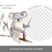Koala Clipart, Watercolor Australian Zoo Animal PNG, Digital Download ...