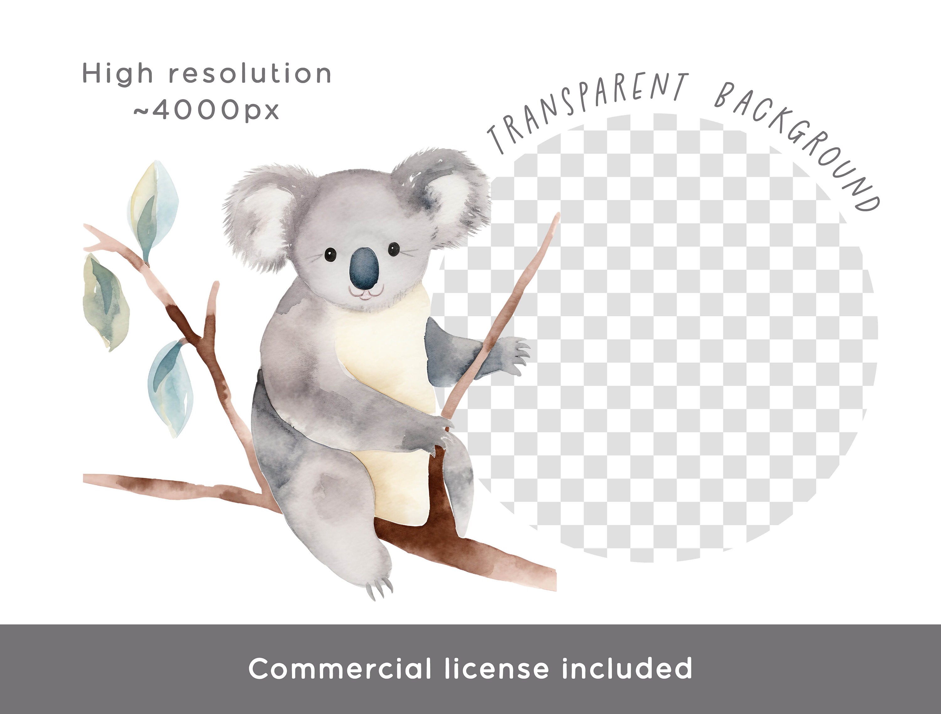 Koala Clipart, Watercolor Australian Zoo Animal PNG, Digital Download ...
