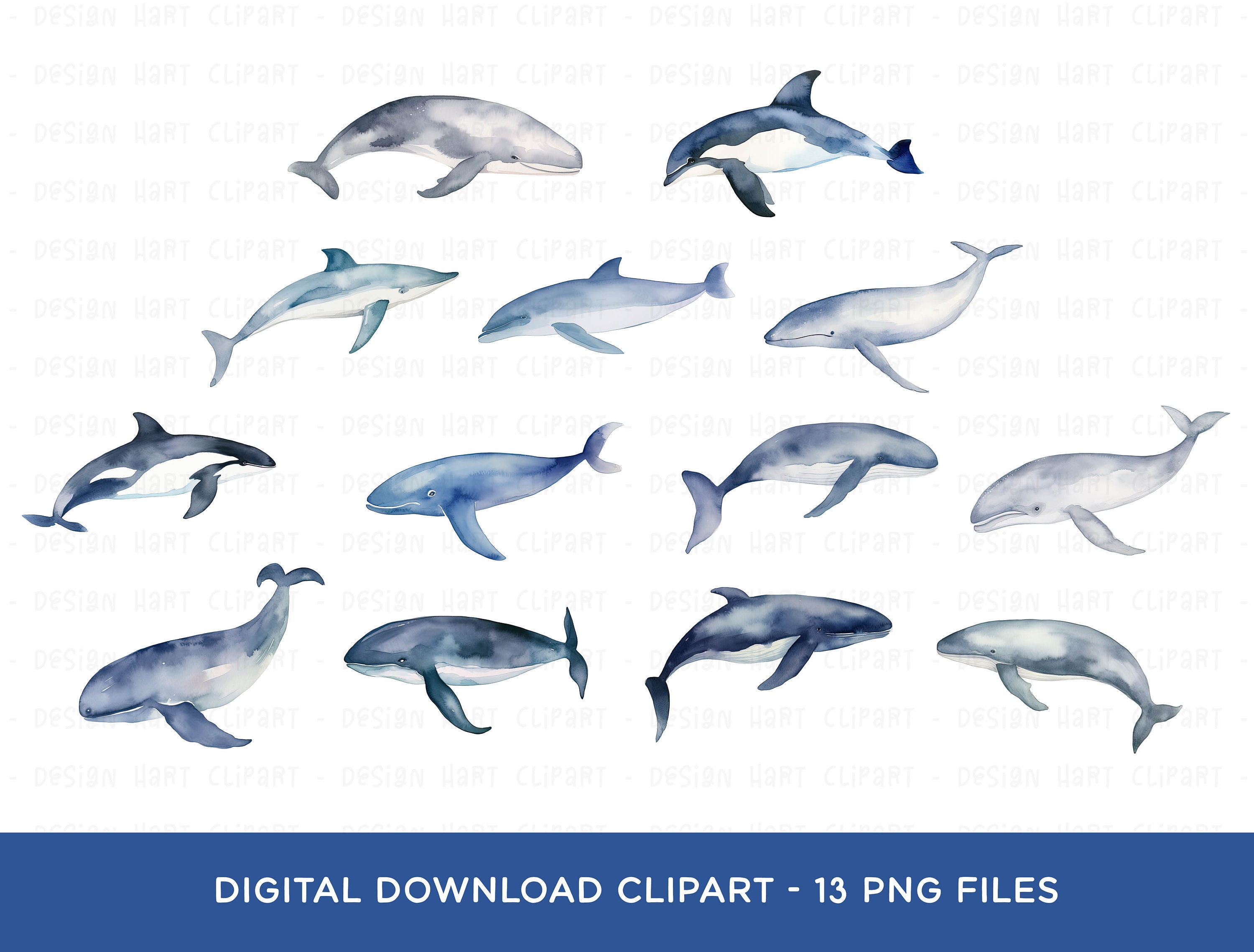 Whale Clipart Bundle Set, Watercolor Ocean Creatures Blue Whale PNG ...