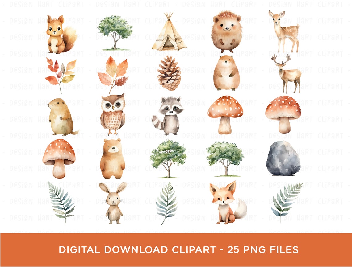 Woodland Animals Watercolor Clipart, Forest PNG Bundle Cute Fox Bear ...