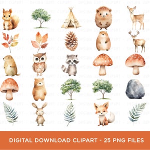 Woodland Animals Watercolor Clipart, Forest PNG Bundle Cute Fox Bear ...