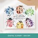 Ladybug Clipart Bundle Set - Watercolor Rainbow Ladybird Insect PNG for ...
