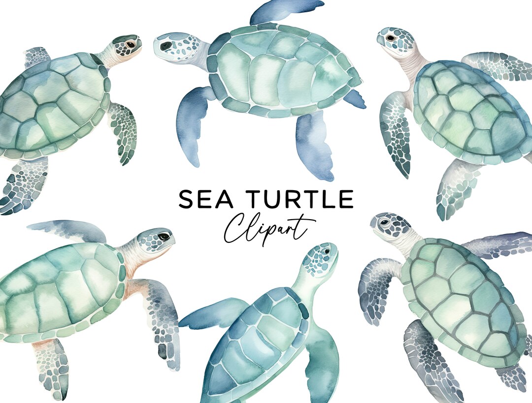 Sea Turtle Clipart Set, Watercolor Ocean Creature Graphics Blue Green ...