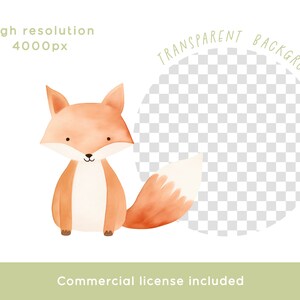 Woodland Animals Watercolor Clipart, Forest PNG Bundle Cute Fox Bear ...