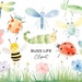 Bugs Clipart Bundle, Cute Ladybug Bee Grasshopper Moth Butterfly ...