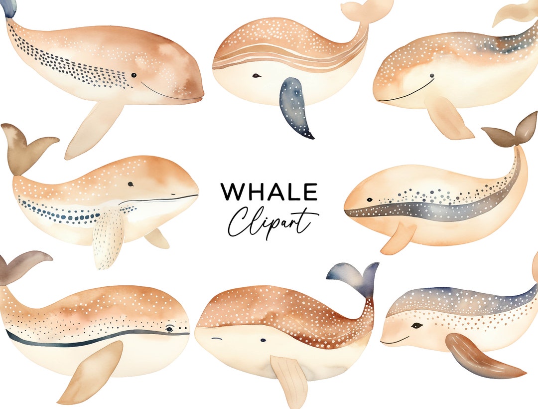 Whale Clipart Bundle Set, Watercolor Boho Whales, Ocean Creatures, PNG ...