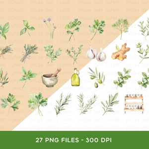 Herbs Clipart Bundle - Hand Painted Spices Watercolor Garlic Parsley ...