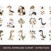 Dinosaur Clipart Bundle - Watercolor Jurassic Prehistoric Dino PNG ...