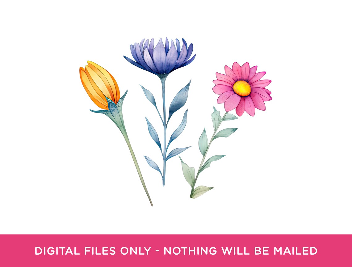 Watercolor Flower Clipart Bundle, Wildflower Graphics PNG Digital ...