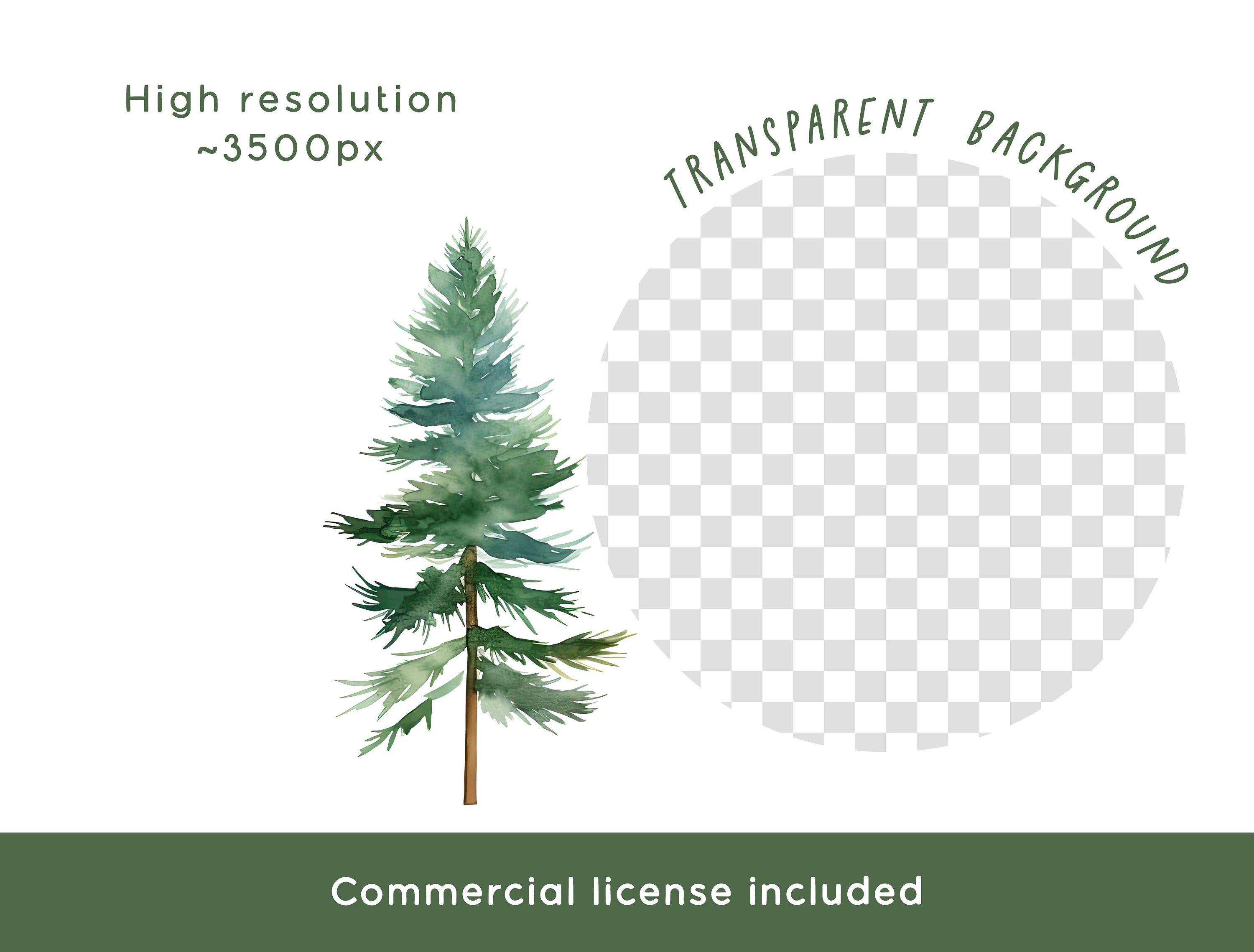 Pine Tree Clipart Bundle, Watercolor Christmas Trees Winter Forest ...