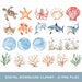 Ocean Clipart Bundle, Watercolor Under the Sea Creatures Animals Beach ...