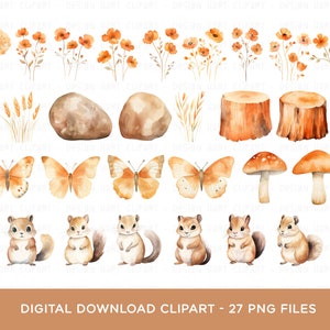 Chipmunk Clipart Bundle, Watercolor Woodland Animals PNG for Kids ...