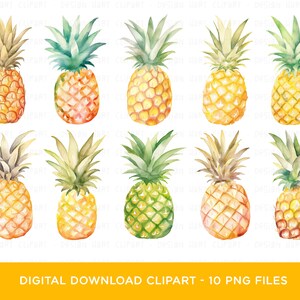 Pineapple Clipart Bundle, Watercolor Tropical Fruit PNG Hand Painted ...