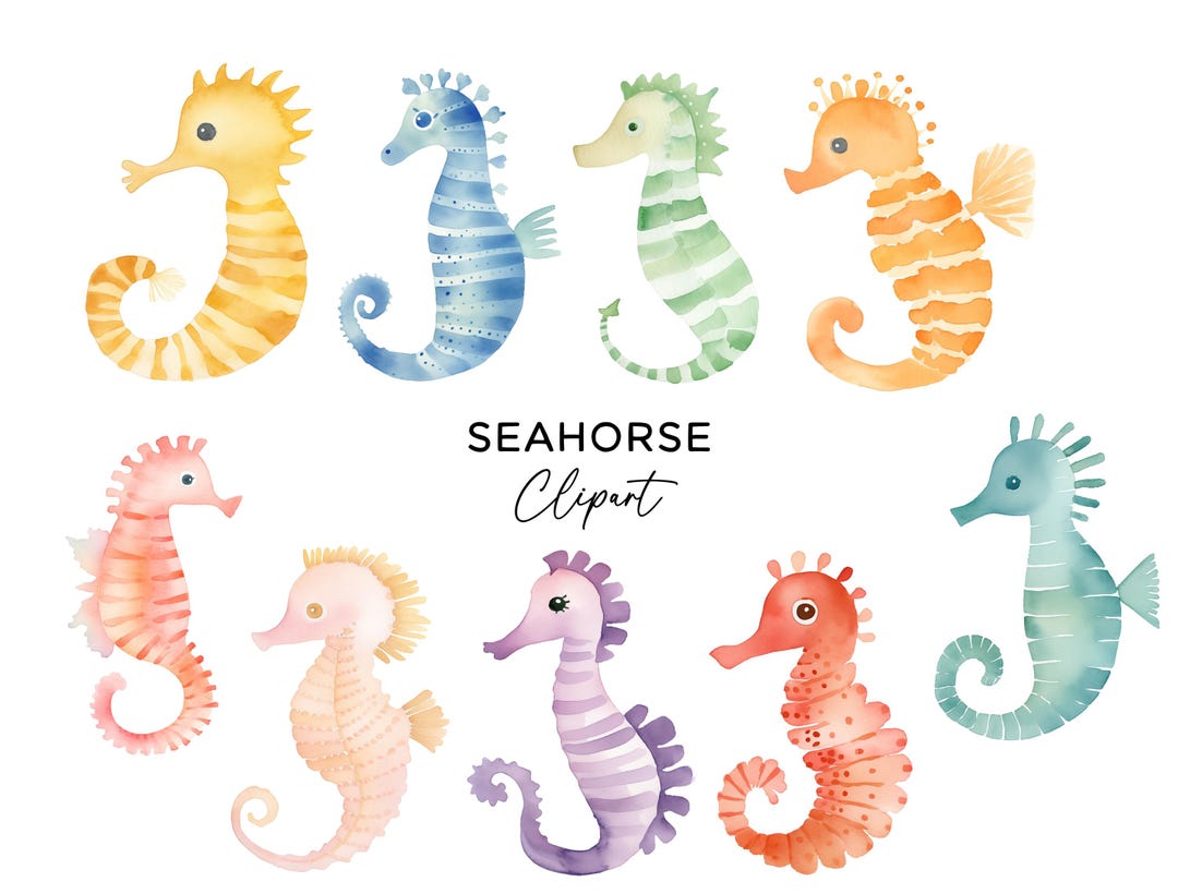 Seahorse Clipart Bundle, PNG Graphics Digital Download Watercolor Ocean ...