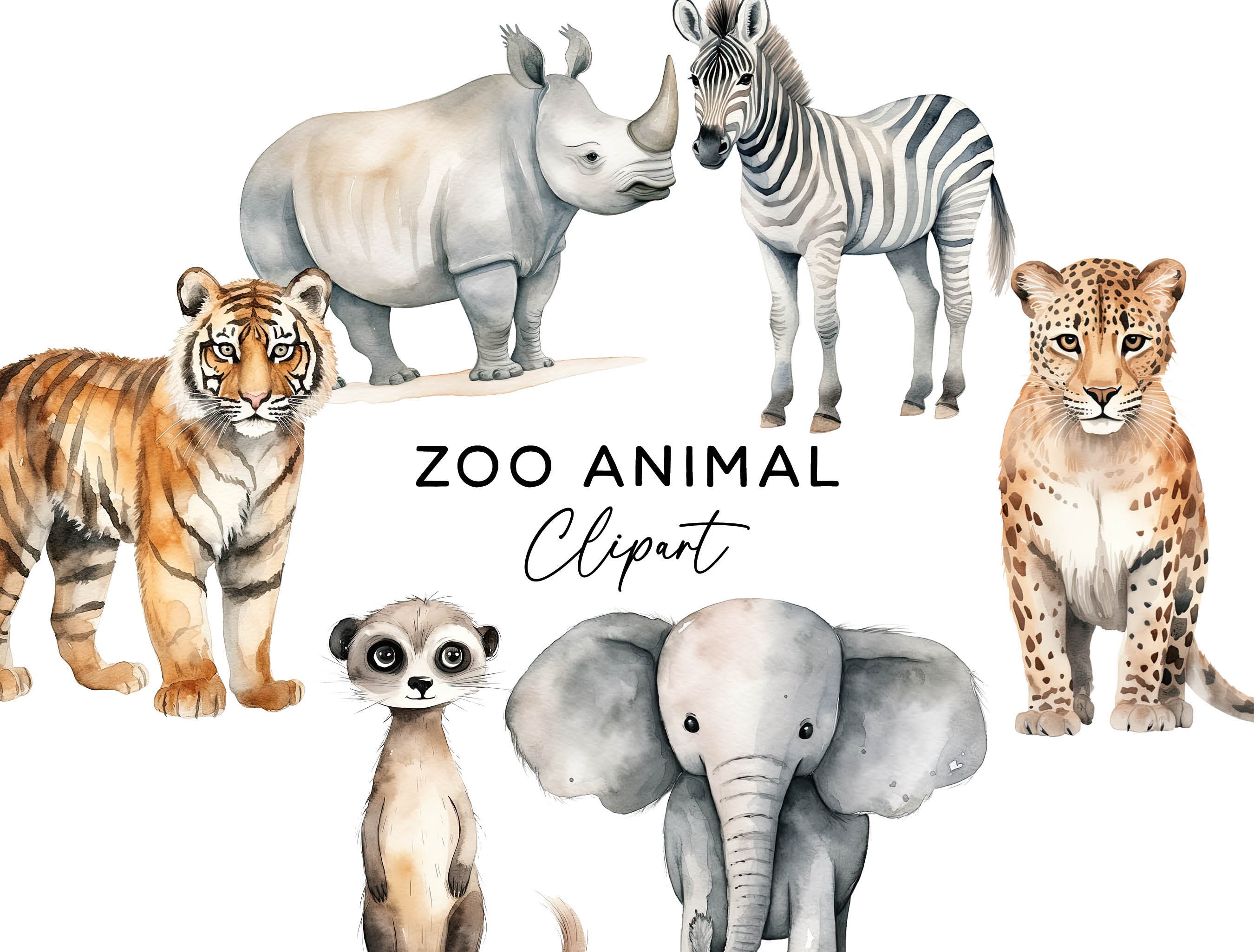 Zoo Animal Clipart Bundle, Watercolor Safari PNG Graphics, Commercial ...