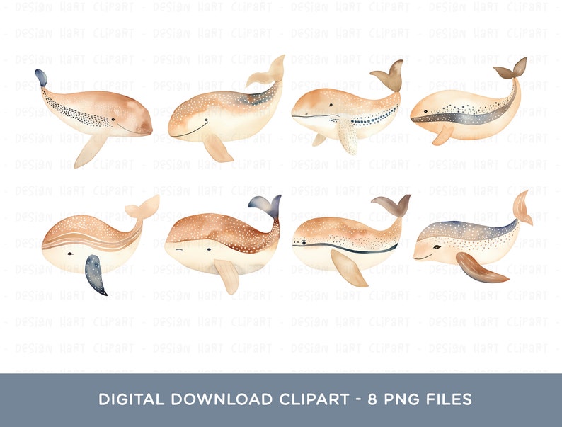 Whale Clipart Bundle Set, Watercolor Boho Whales, Ocean Creatures, PNG ...
