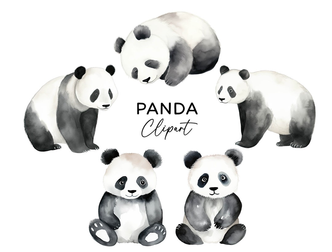 Panda Clipart Bundle, Watercolor Cute Pandas Graphics PNG Art for Party ...