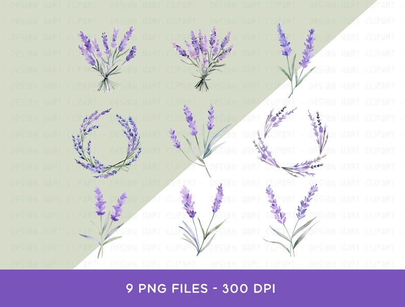 Lavender Clipart Bundle, Watercolor Floral Purple Sprigs Spring ...