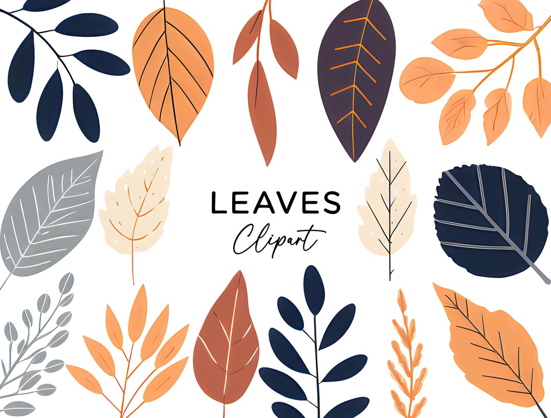 Fall Leaves Clipart Bundle, PNG Commercial Use, Autumn Leaf Graphics ...