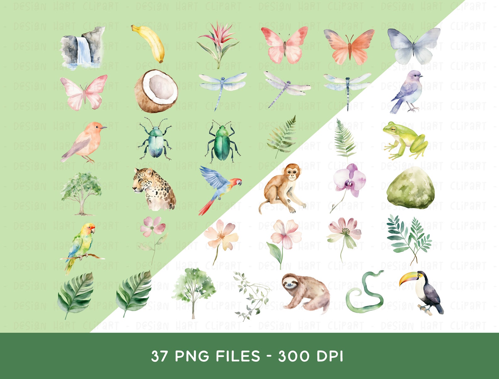 Rainforest Clipart Bundle Set, PNG Sublimation Graphics Digital ...