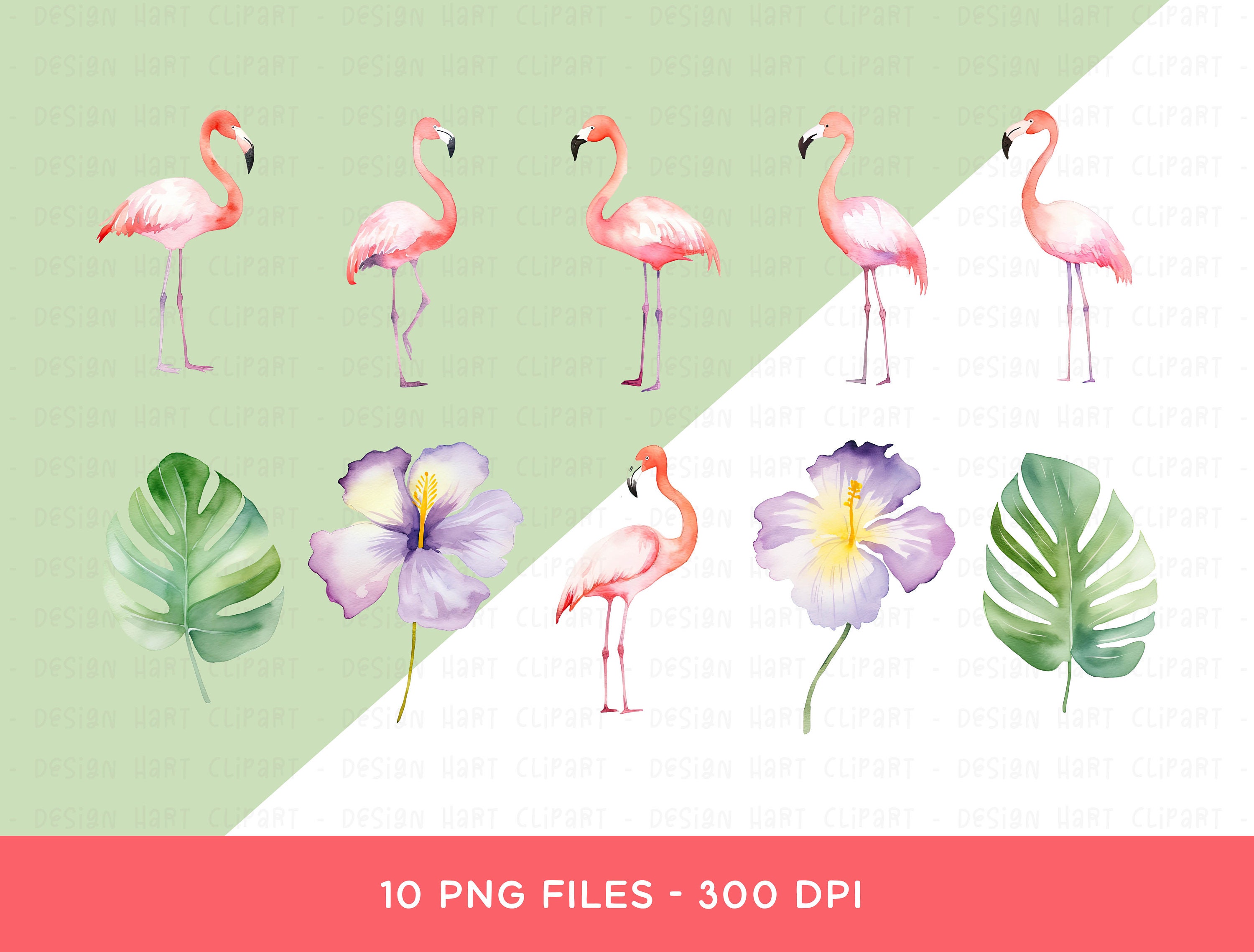 Flamingo Clipart Bundle Watercolor Tropical Flamingoes & Leaf - Etsy