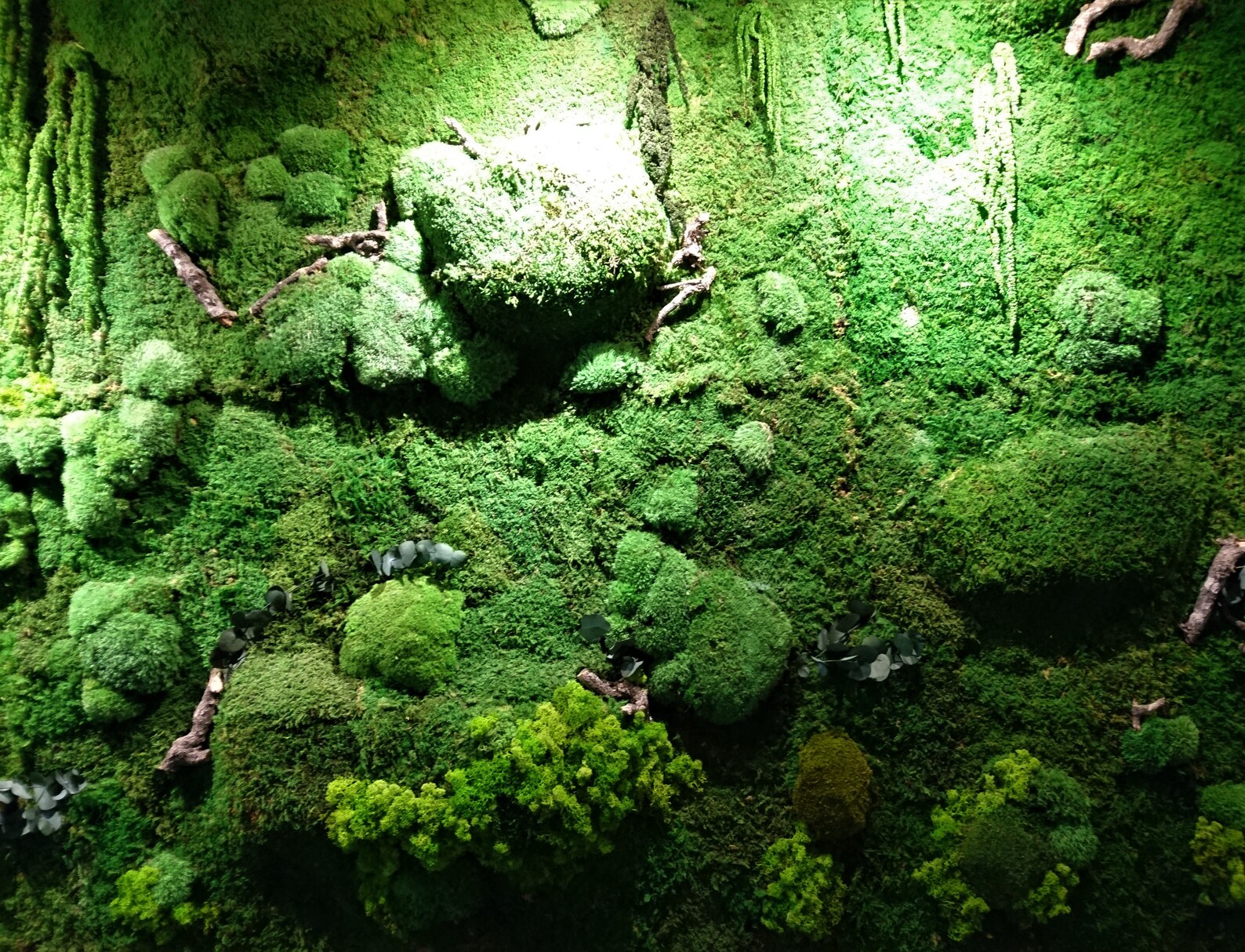 Large Moss Wall Art / Living Wall Art / House Jungle / Large Moss Frame ...