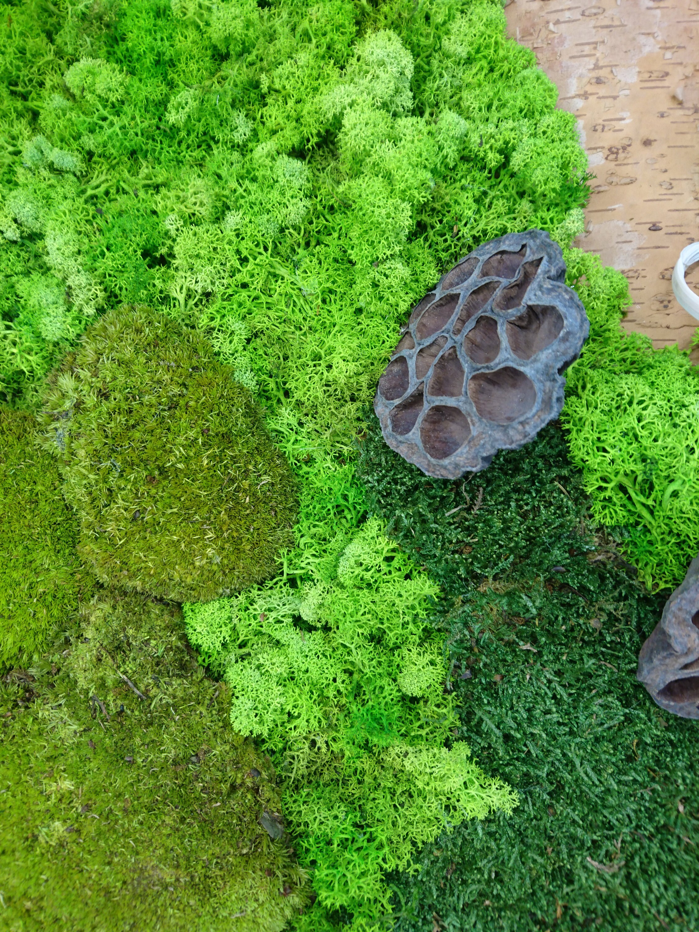 LARGE MOSS WALL / Living Wall Art / House Jungle / Moss Wall Art ...