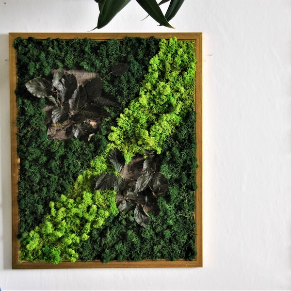 Moss Frame - Etsy