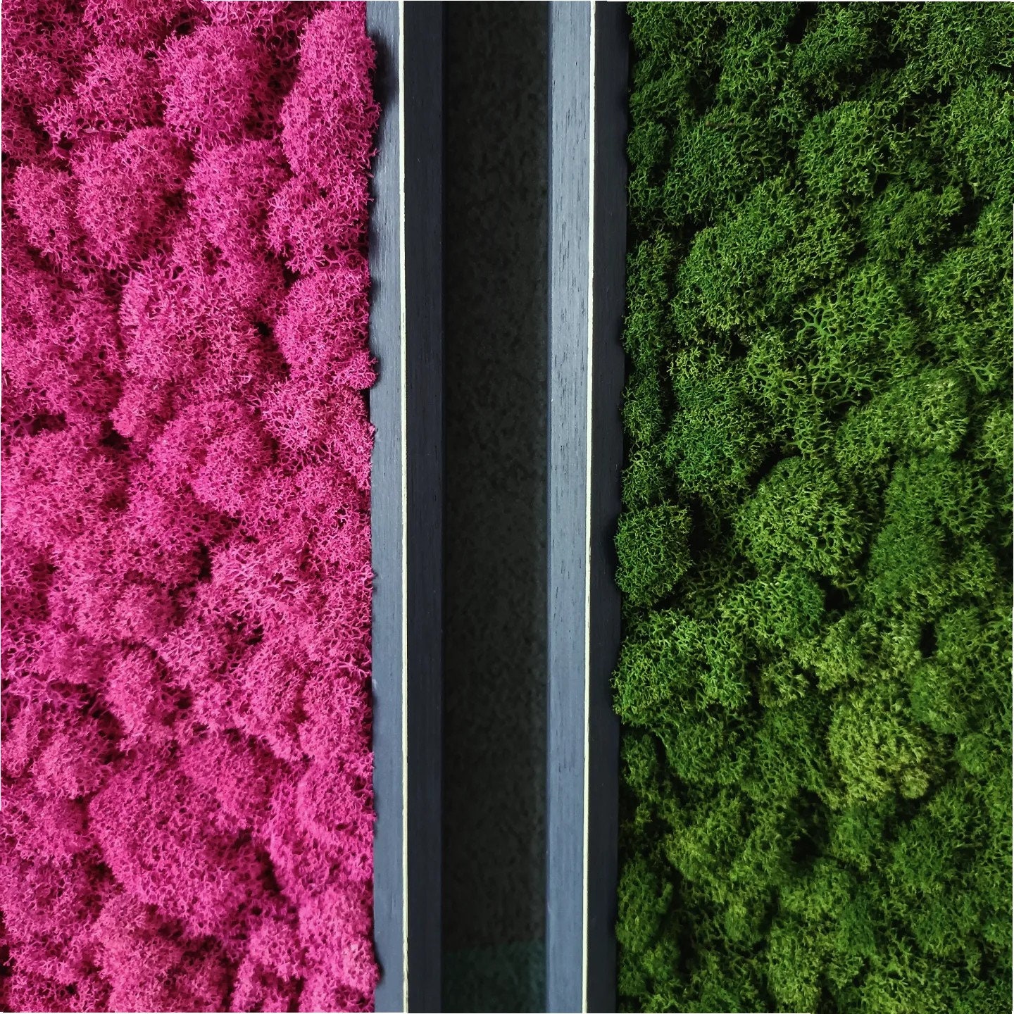 Colorful Moss Wall Art / Two Parts in Frame / Sound Absorber / Sound ...