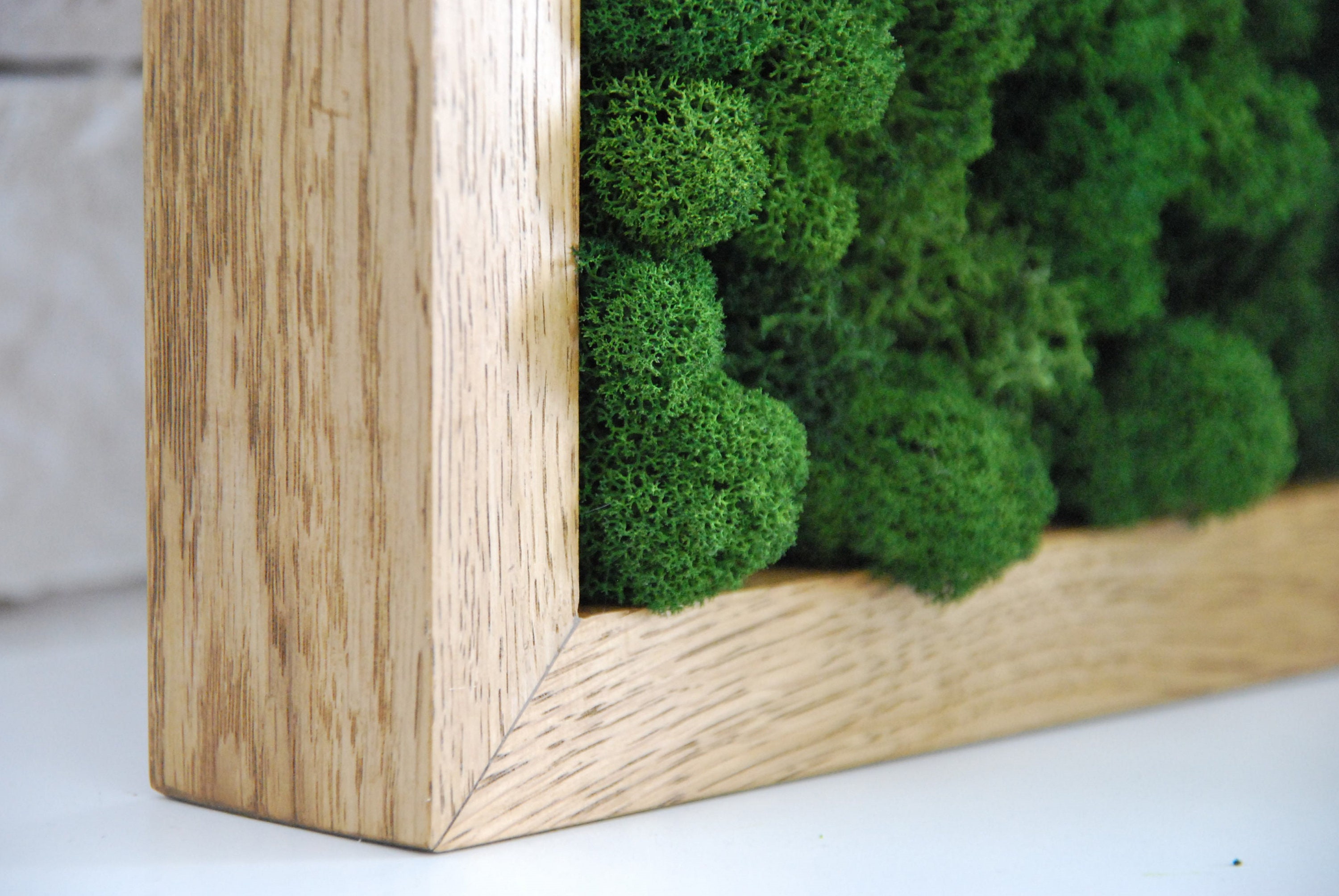 ACOUSTIC PANEL in FRAME / Sound Absorber / Moss Wall Art / - Etsy