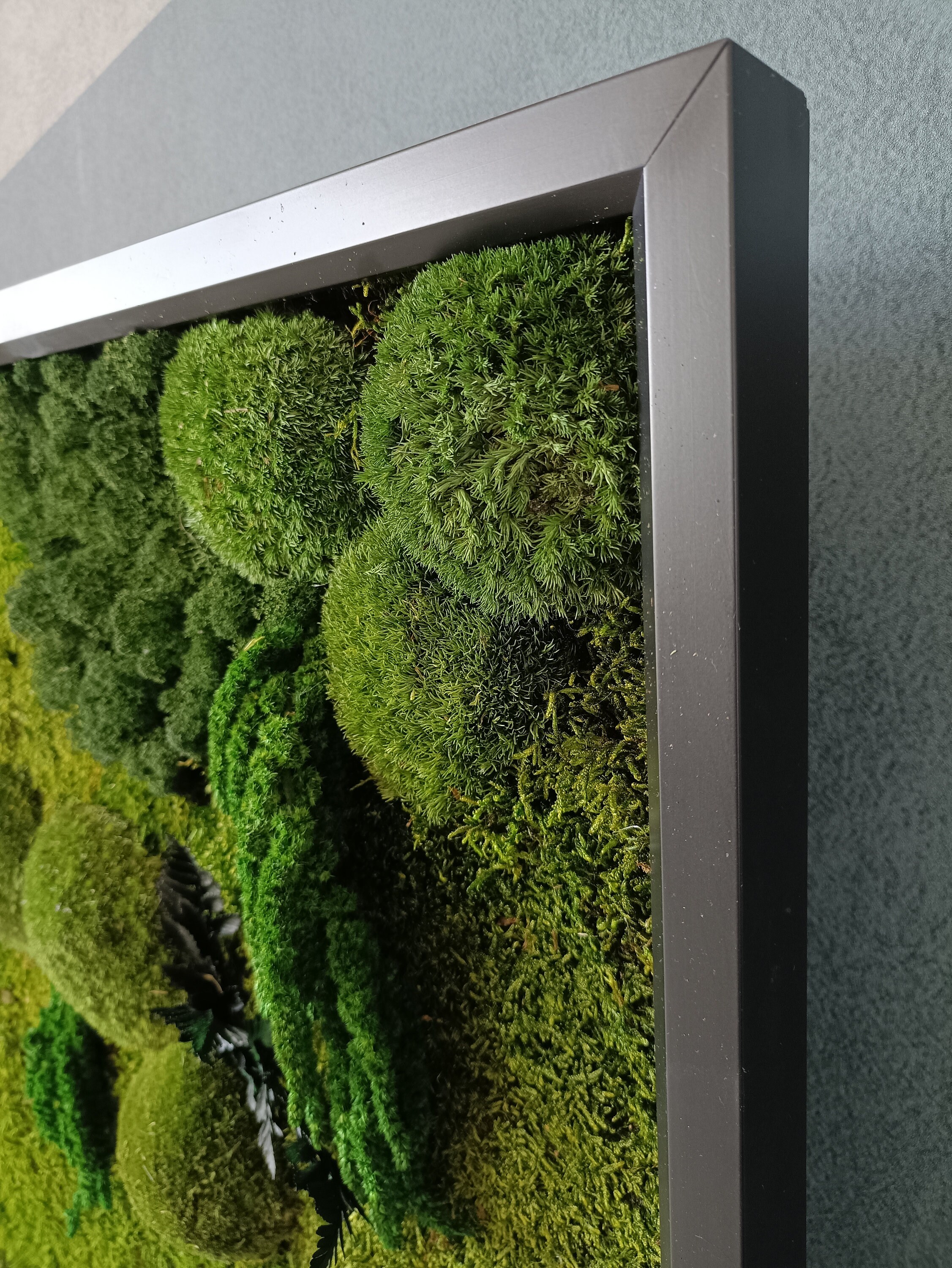 Large Moss Wall Art / Living Wall Art / House Jungle / Large Moss Frame ...