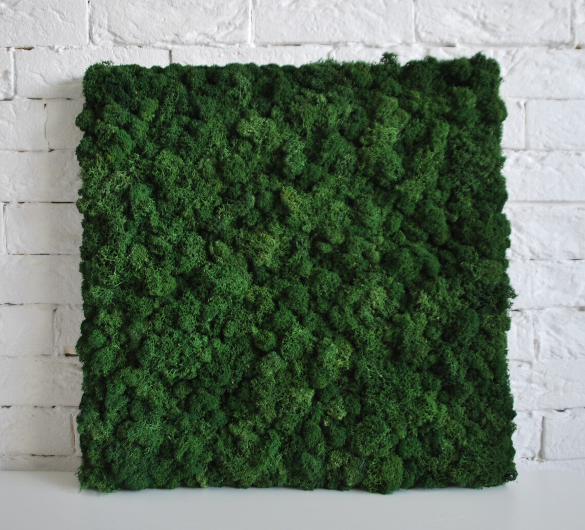 ACOUSTIC PANEL / Sound Absorber / Moss Wall Art / Sound | Etsy