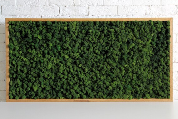 ACOUSTIC PANEL in FRAME / Sound Absorber / Moss Wall Art / - Etsy