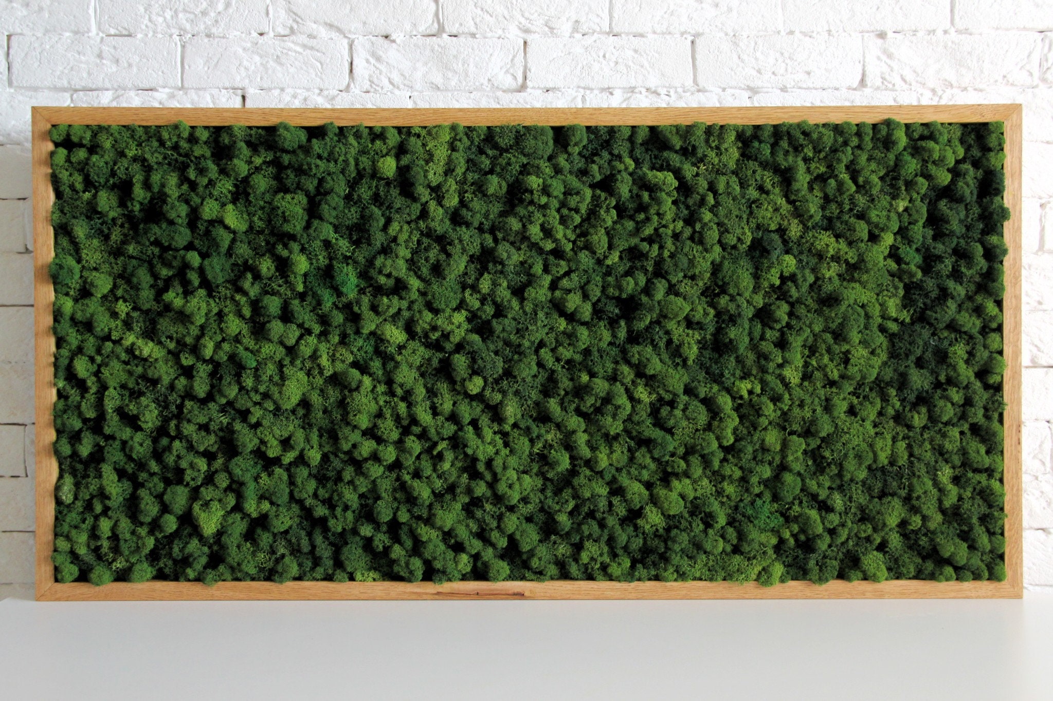 ACOUSTIC PANEL in FRAME / Sound Absorber / Moss Wall Art / Sound ...