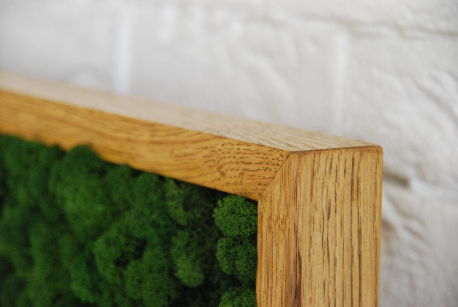 ACOUSTIC PANEL in FRAME / Sound Absorber / Moss Wall Art / Sound ...