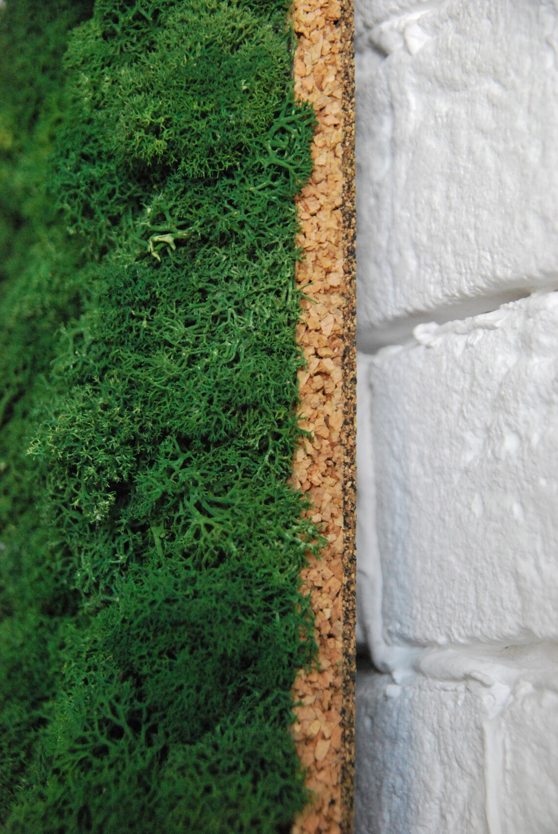 ACOUSTIC PANEL in FRAME / Sound Absorber / Moss Wall Art / - Etsy
