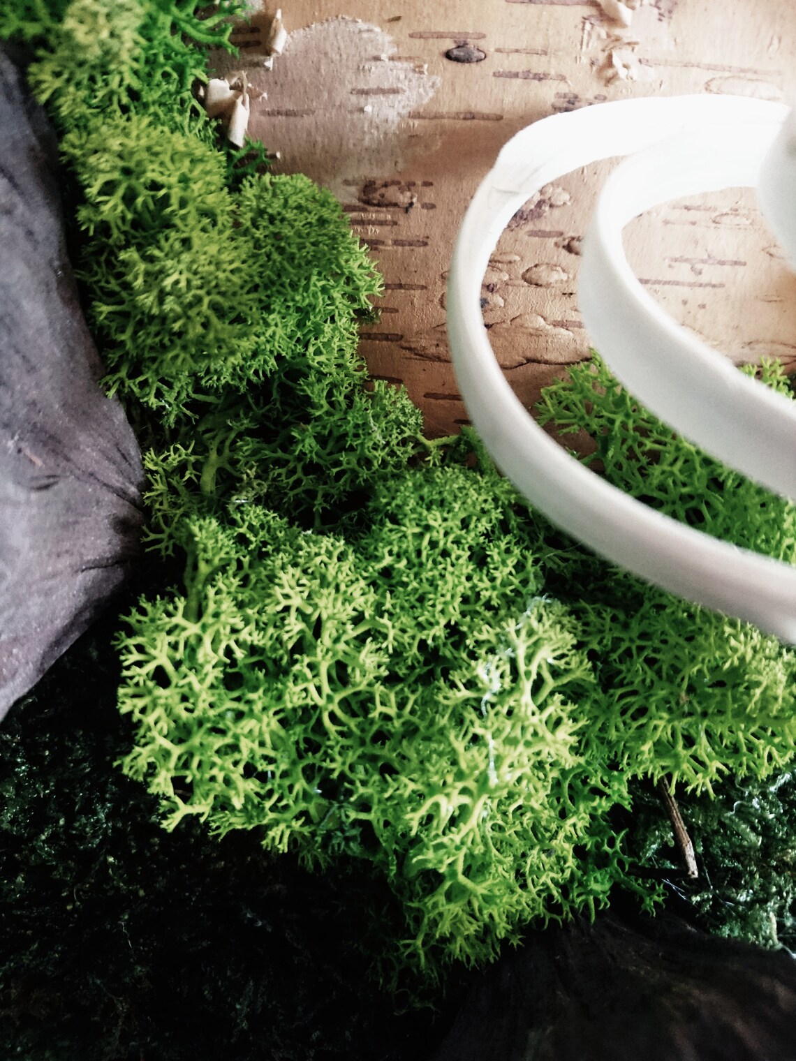 LARGE MOSS WALL / Living Wall Art / House Jungle / Moss Wall | Etsy