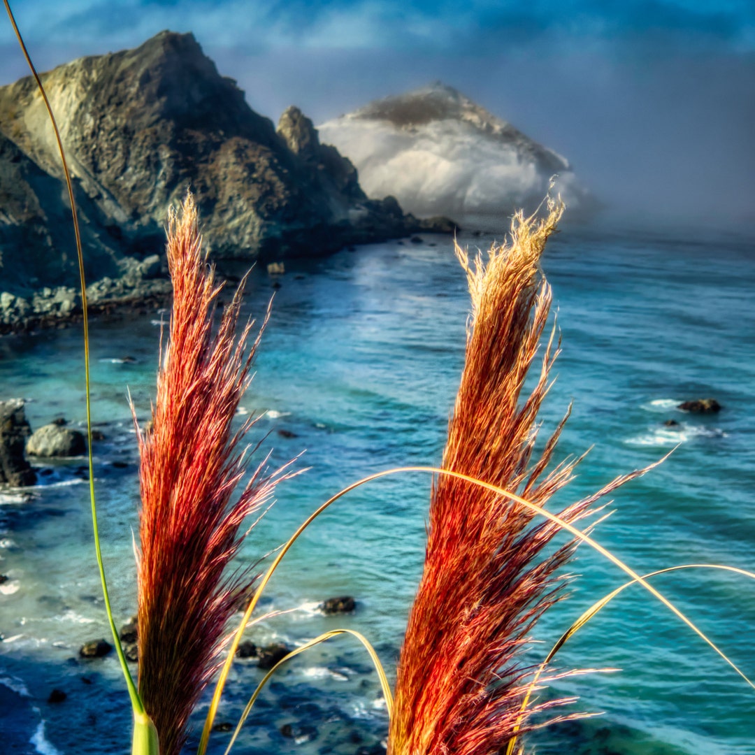 Big Sur Art - California Art - Foxtails Morning Fog - Landscape Photo ...