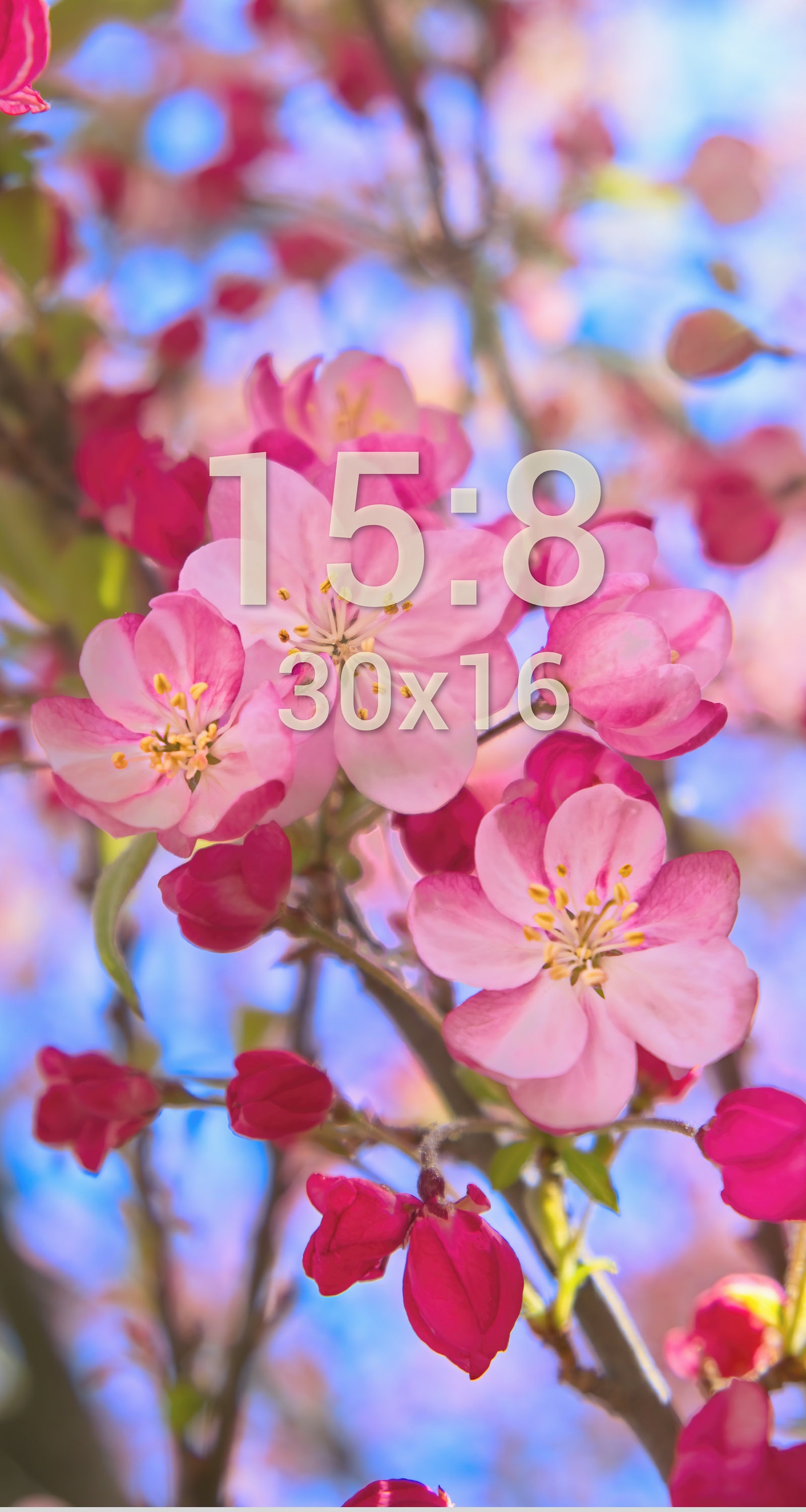 Crabapple Spring Blossom - Floral Wall Art - Spring Flowers - Canvas ...