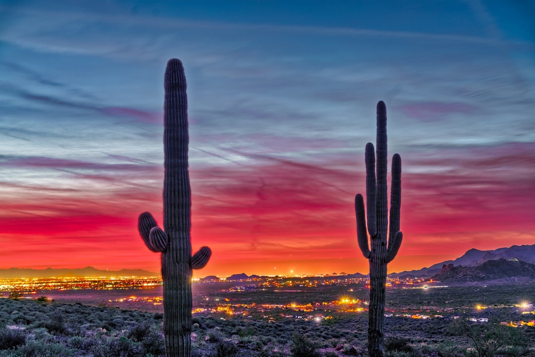 Arizona Saguaro Cactus Wall Art | Phoenix Sunset | Canvas, Framed ...