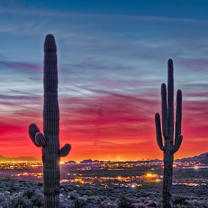 Arizona Saguaro Cactus Wall Art | Phoenix Sunset | Canvas, Framed ...