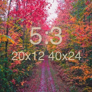 Vermont Fall Foliage - Dirt Road in Autumn Colors | New England Fall ...