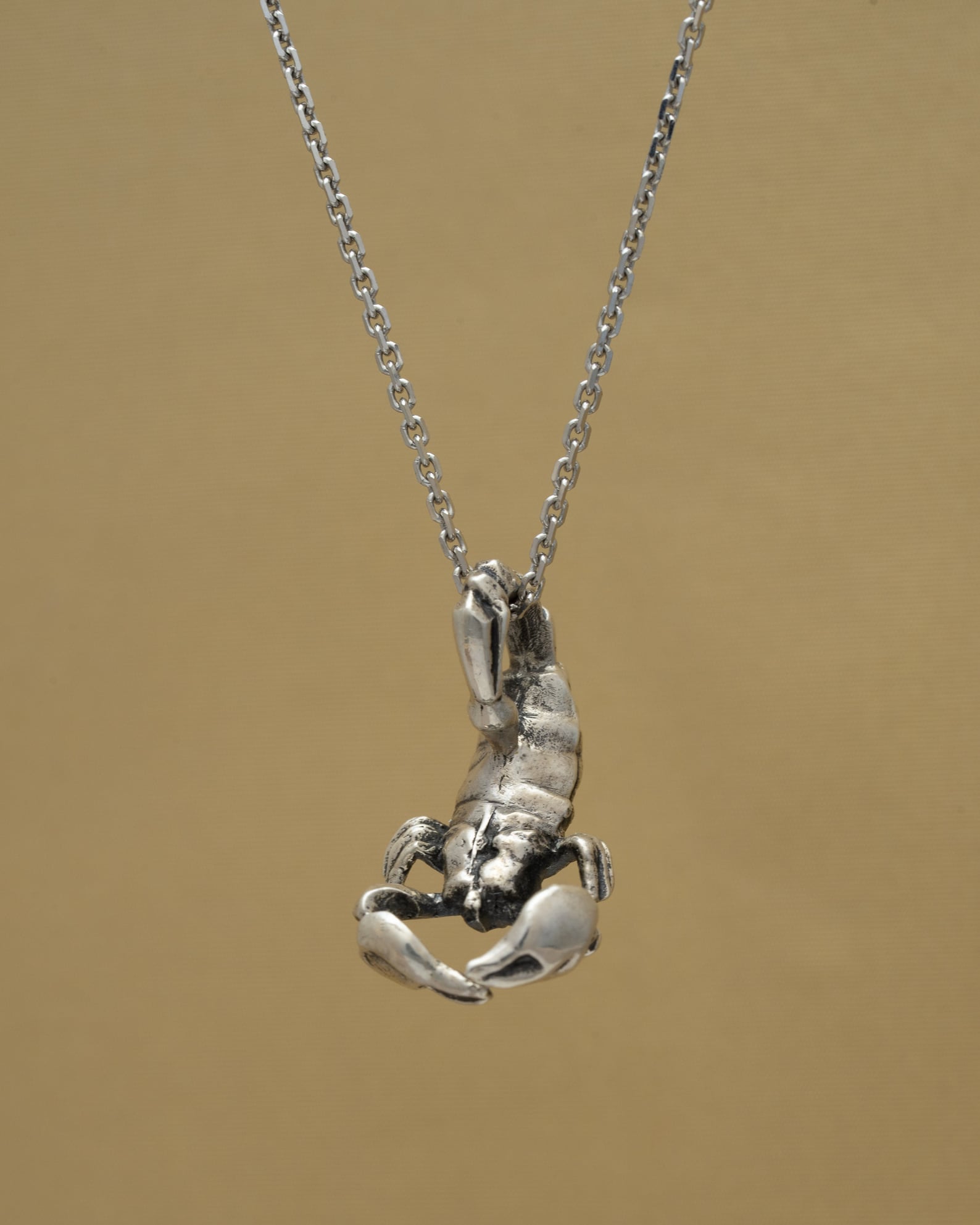 Scorpio Necklace, Zodiac Scorpion Pendant, 925 Sterling Silver Art ...