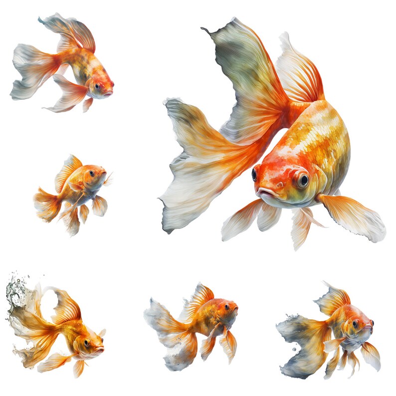 Watercolor Goldfish Clipart, Aquarium Clip Art, Fish Clipart PNG Format ...