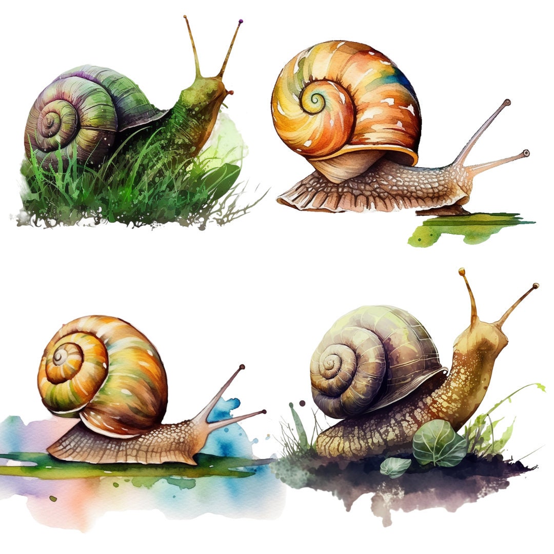 Watercolor Snail Clipart PNG Format Instant Download for Commercial Use ...