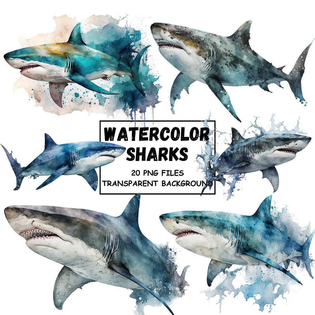 Watercolor Sharks Clipart, Great White Shark, 20 Files Bundle in PNG ...