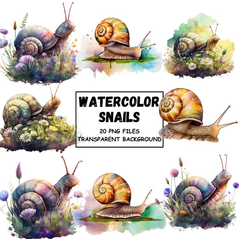 Watercolor Snail Clipart PNG Format Instant Download for Commercial Use ...