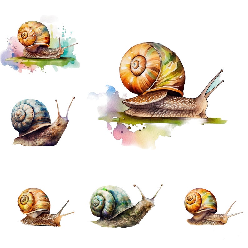Watercolor Snail Clipart PNG Format Instant Download for Commercial Use ...